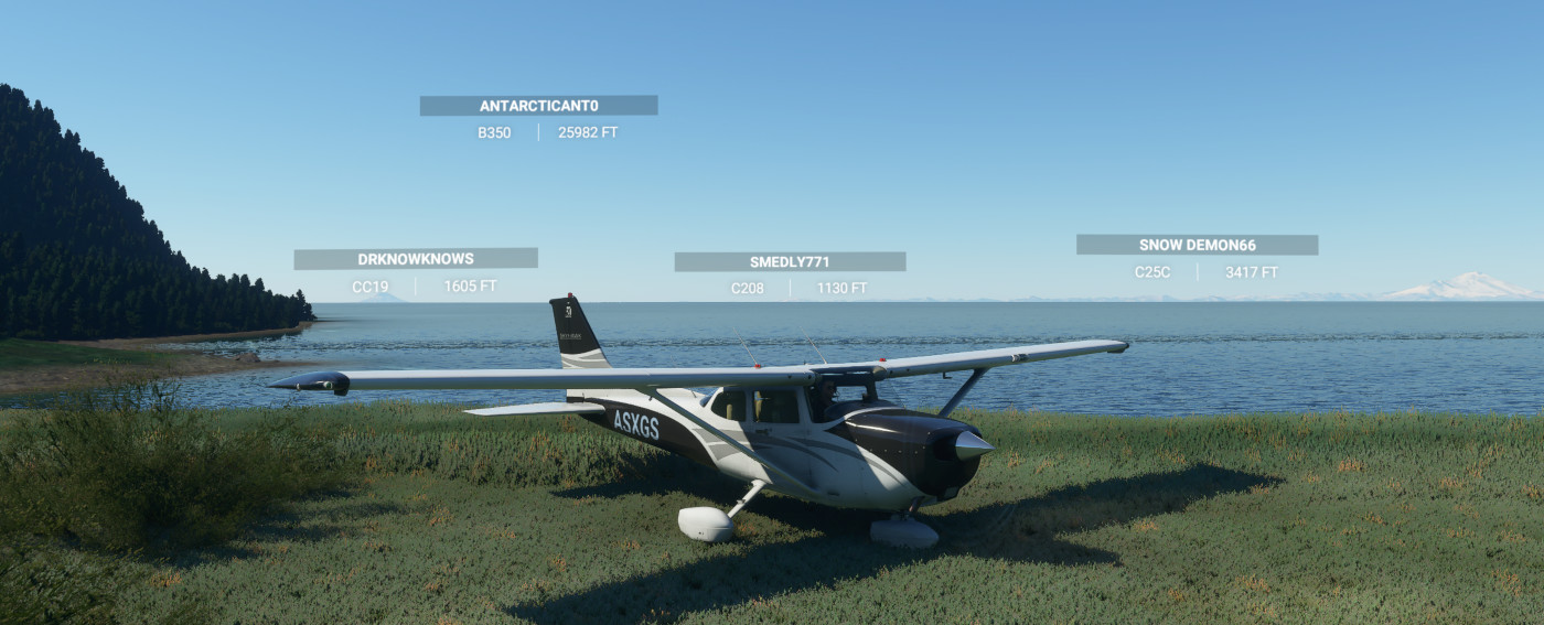 MSFS - Multiplayer Information - Microsoft Flight Simulator - Mudspike ...