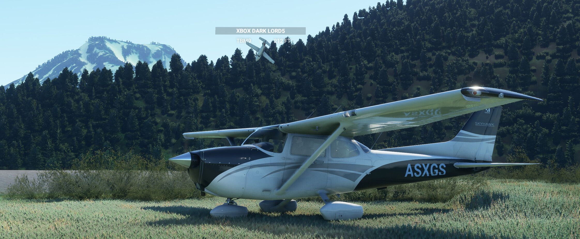 MSFS - Multiplayer Information - Microsoft Flight Simulator - Mudspike ...