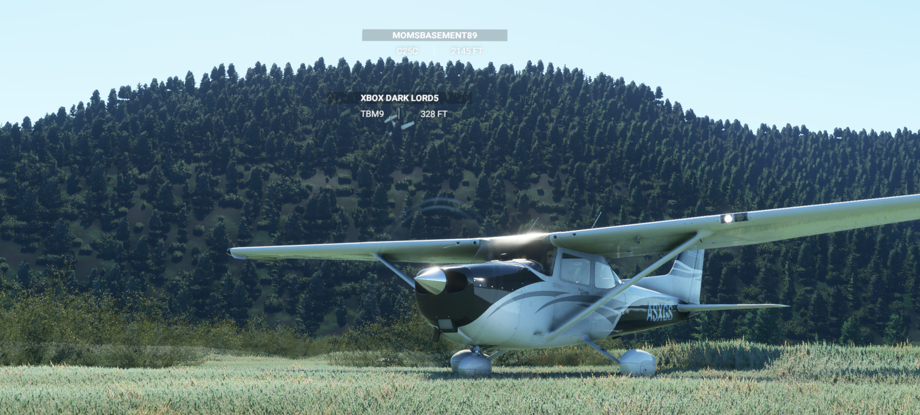 MSFS - Multiplayer Information - Microsoft Flight Simulator - Mudspike ...